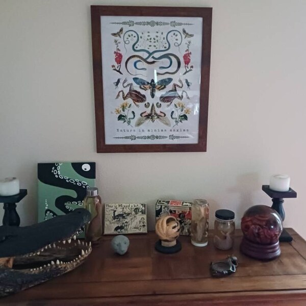 Witchy Esoteric Decor Printable Gallery Wall Art Set Mega Bundle ...