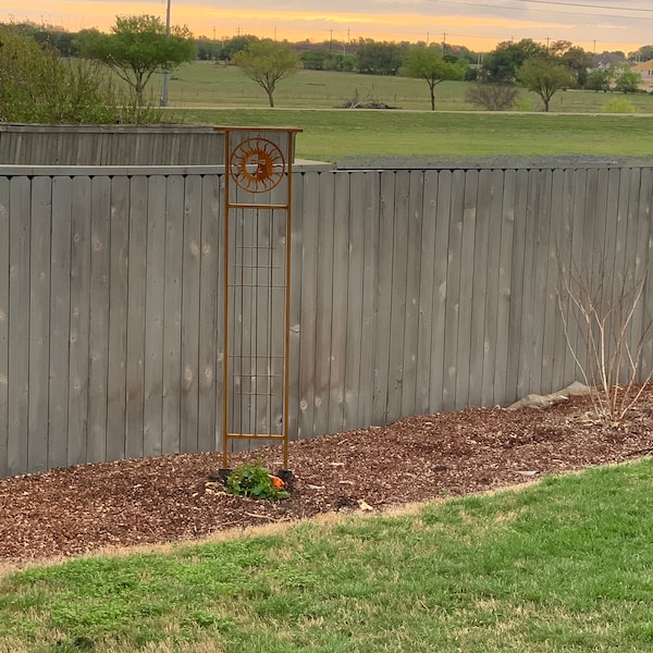 Brilliant Rays of the Sun With Moon...garden Trellis Plant Trellis ...