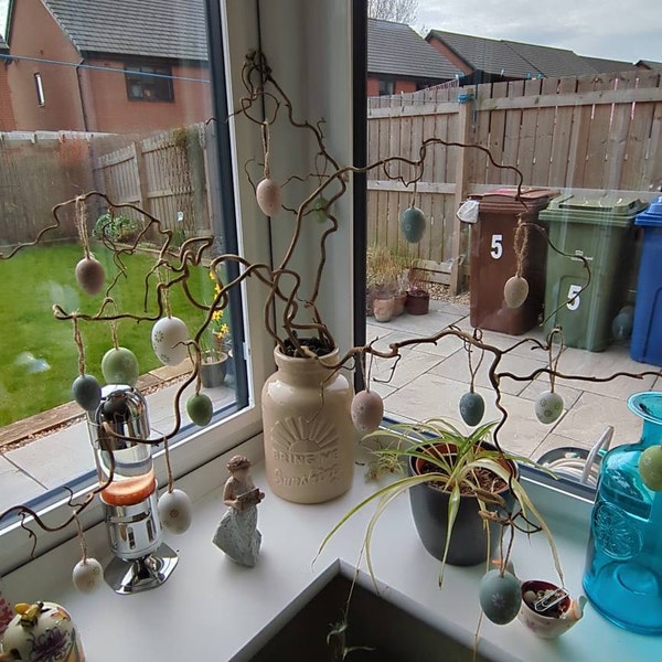 Contorted Willow, Natural Corylus, Twisted Hazel 60cm. - Etsy UK