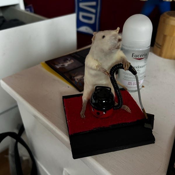 Taxidermy Mouse With Bagpipes, Rat, Rodent, Scottish, Scotland,musical ...