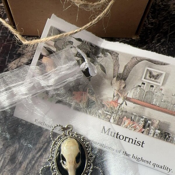 Real Rat Skeleton, Big Rat Skeleton, Animal Skeleton, Taxidermy ...