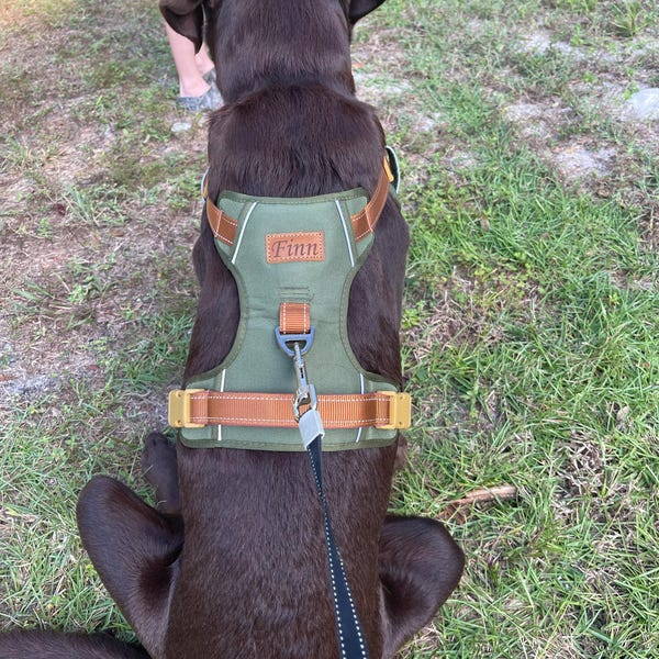 Personalized Pet Harness, Night Reflective Collar With Customized Name ...