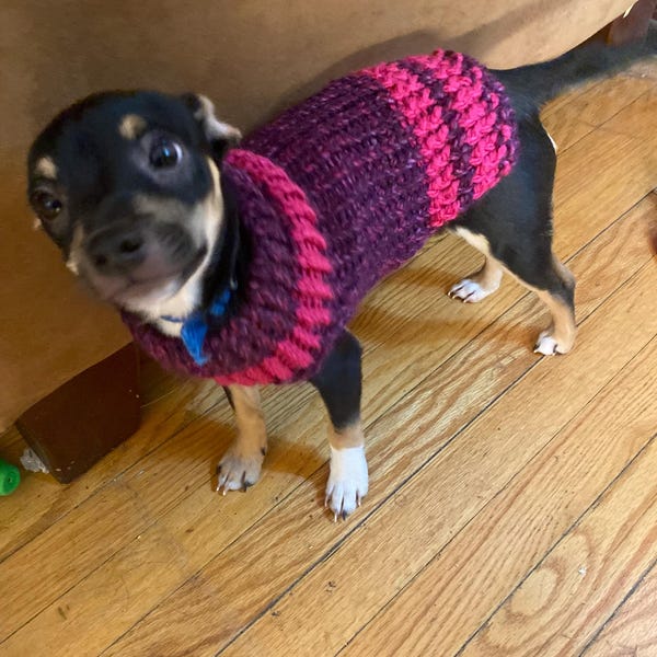 Dog Sweater, Cute Dog Sweater, Hand Knitted, Chihuahua, Yorkie, Puppy ...