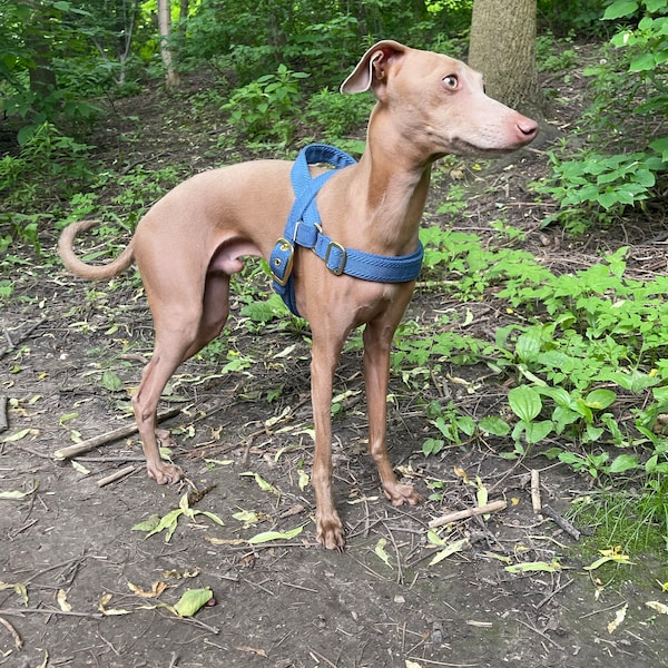 FLUFF || Fluffy Lining / Colour Change - Etsy