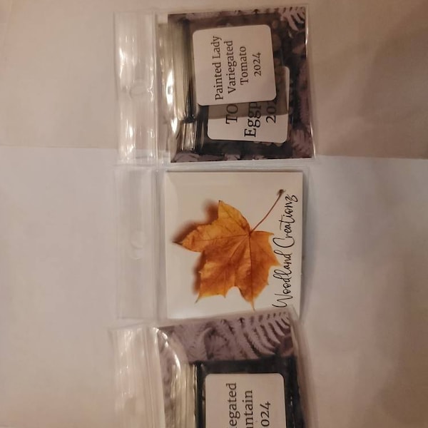 Atomic Sunset Tomato Seeds Rare Cherry Tomato - Etsy