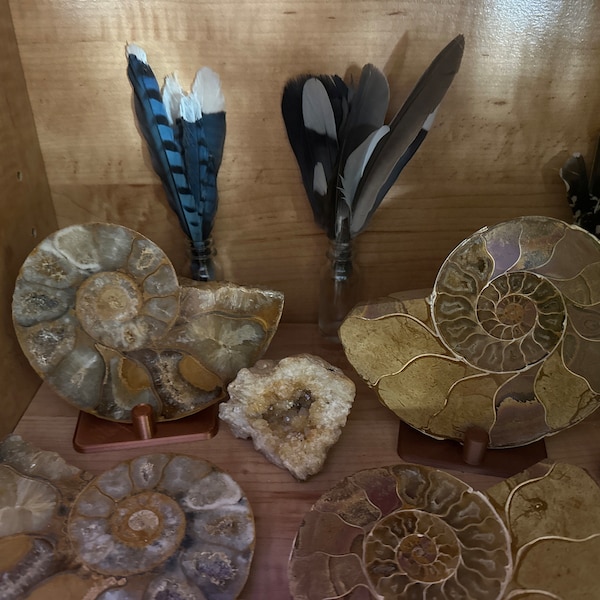 3D Printed Crystal Display Stand, Mineral Holder - Etsy