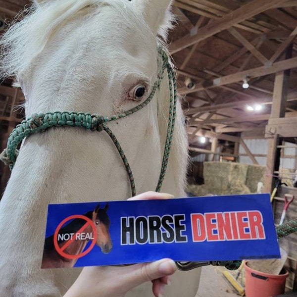 Horse DENIER (they Are Not Real) Bumper Sticker or Magnet | Funny ...