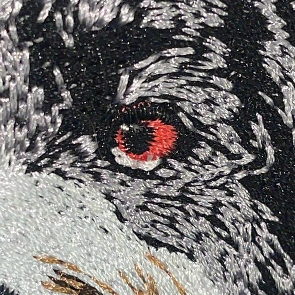 Boys of Tommen Embroidered Sweatshirt, Johnny Kavanagh, Lynch Joey ...