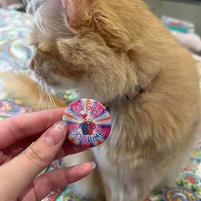 Doko Demo Issyo Toro Inoue Sony Cat Hatsune Miku Vocaloid - Etsy