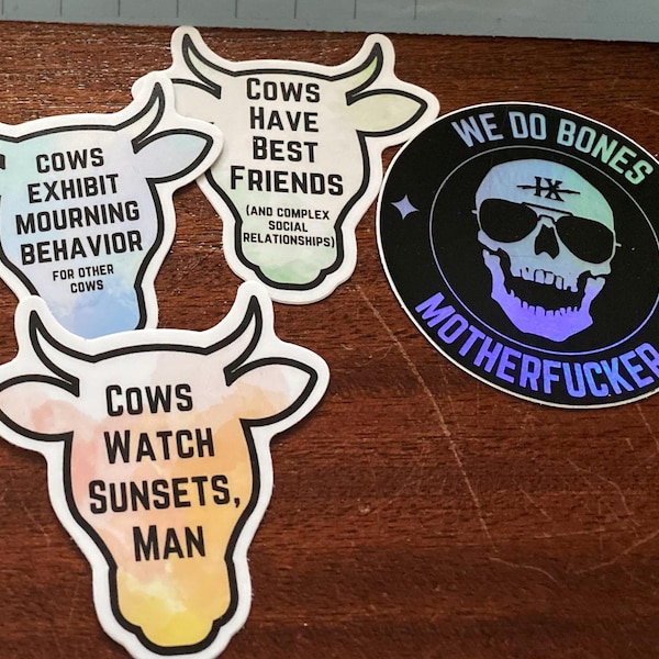 Rogue Protocol // the Murderbot Diaries I Received Your Request but ...