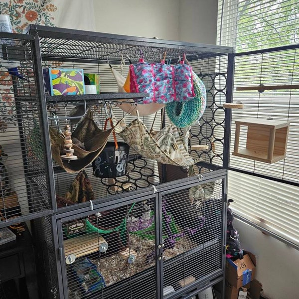 Crazy Critter 11 Pc Kiln Dried Pine Chinchilla//rat//degu//squirrel ...