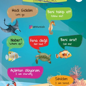 Learn Turkish A1 4 Book Series PDF - Etsy