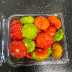 Aji Cachucha Cachucha Pepper Sweet Pepper Sweet Aji. Pintón - Etsy