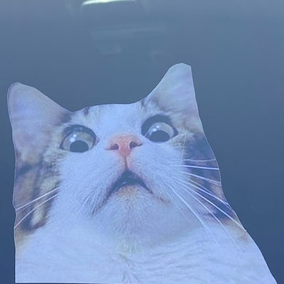 Scaredy Cat Sticker, Cat Sticker, Cat, Kitty, Cat Gift, Kitty Gift ...