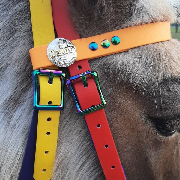 Custom Conchos, Handcrafted, Rich and Deep Hand Engraving, Add Your ...