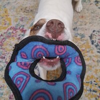 Original Vintage Photograph Val & June - Etsy Canada