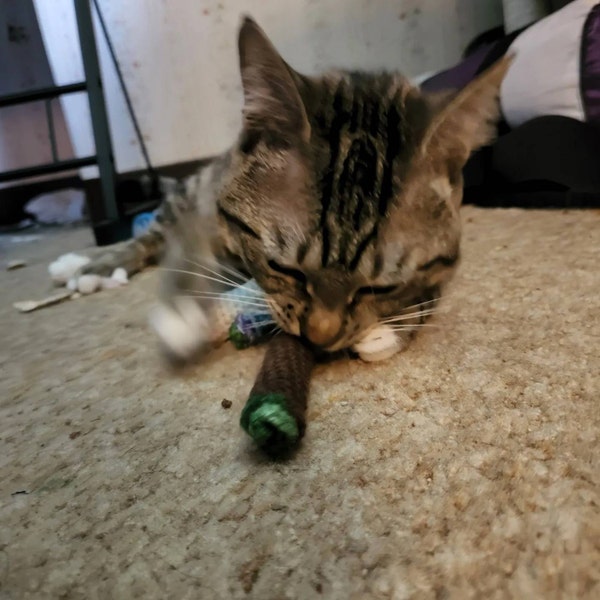 Bong and Blunt Catnip Toy/weed/marijuana/pot/fatty/cat Toy/cats/420 ...