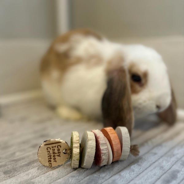 The Chunky Chunks - Mango Wood Chews for Hamsters/guinea Pigs/rabbits ...