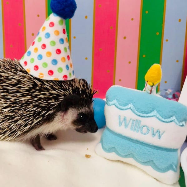 Ball Python Pastel Watercolor Snake A Plushie Stuffed Animal Friend ...