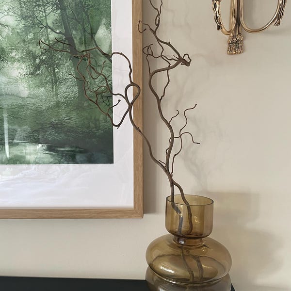 XL Twisted Hazel Branch Corylus Curly Twigs Wabi Sabi Decor Minimalist ...