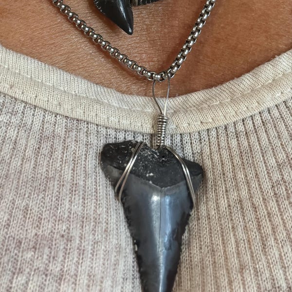 Shark Tooth Necklace| Men's, Woman's, Kid's| Real Fossil | Handmade ...
