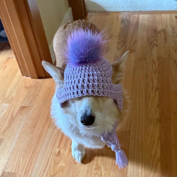 Corgi Beanie - Dog Beanie - Corgi Hats - Dog Hat - Dog Beanie - Fur ...