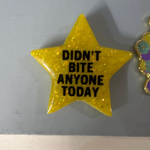 Gold Star Custom Resin Pins, Novelty Pins, Custom Text Pins, Quirky ...