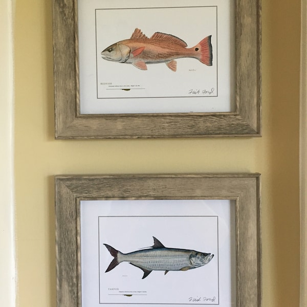 Redfish Open Edition Print by Flick Ford, Southern Gamefish, Gulf Coast ...