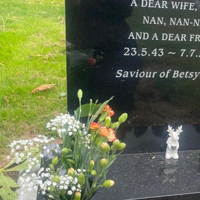 Memorial Robin Sign, Remembrance Keepsake for Loved Ones, Home Decor ...