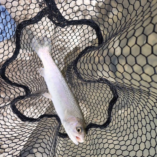 Mayer's Mini Leech. Extra Heavy! One of the BEST Fly Fishing Flies ...