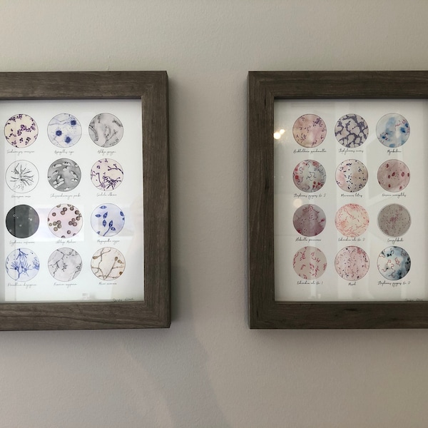Microbe Collection, Bacteria, Bacteria Art, Science, Science Art ...