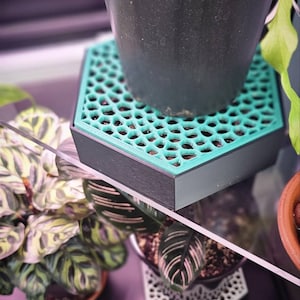 Pebble Tray for Plants pre-washed Pebbles Included - Etsy