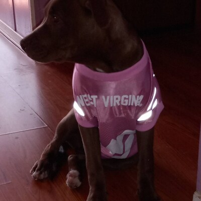 University of North Texas Cotton Fabric by Sykel-north Texas Mean Green ...