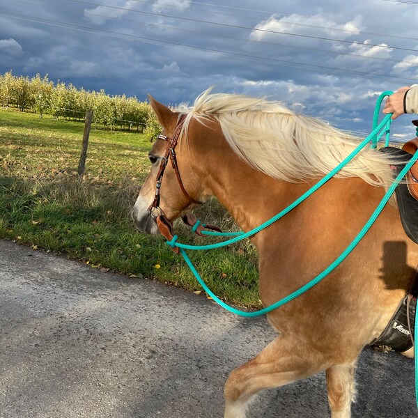 Rope Halter & Mecates Natural Horsemanship Hackamore 21 Colors 2 or 4 ...