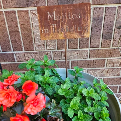 Classic Metal Garden Markers NEW CROPS Made to Order - Etsy