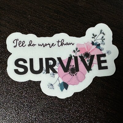 Smash the Cis-tem Sticker LGBTQ Sticker Queer Stickers - Etsy