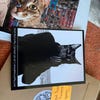 Cat Meme Art Print, Cat Lover Gift Idea, Motivational Poster, Funny Cat ...
