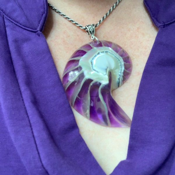 Large Strombus Seashell Pendant Sunburst of Center Cut Shells in Black ...