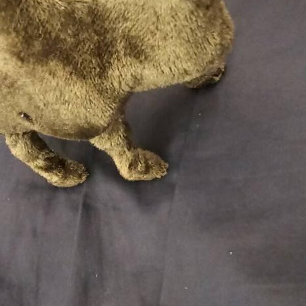 Predatortools® - Raptor - Digging Tool - Model 31c - USA Made With ...