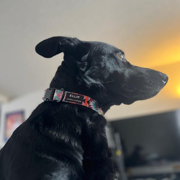 Treeline Dog Collar - Trees | Forest | Nature | Outdoors - Etsy