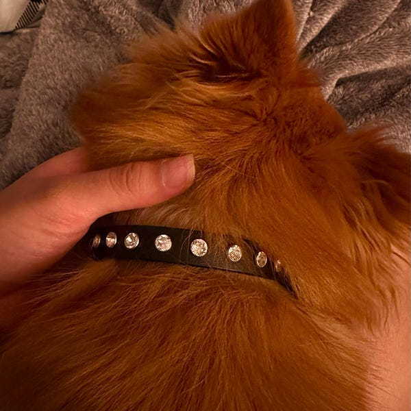 Dogla - Etsy