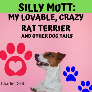 Cat Food Pyramid | Pet Feeding Guidelines | Healthy Eating ...