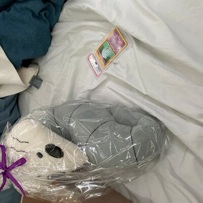 Gorb Hollow Knight Plush Toy Hollow Knight Soft Toy - Etsy
