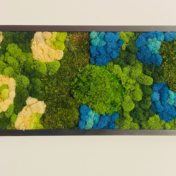 Flower Moss | Moss Wall Art | Preserved Moss | Nature Home Decor ...