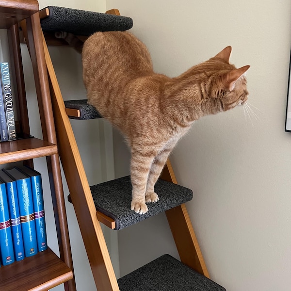 Cat Ladder - 8 Step Cherry Hardwood | Lets Cats Climb Indoors to Reach ...