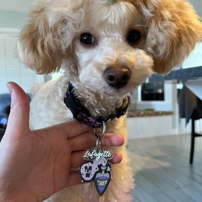 Custom Dog Tag // Acrylic Dog Tag // Personalized Pet Tag // - Etsy