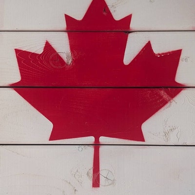 Rib Cage Stencil Rib Stencil Skeleton Stencil Ribcage Cookie Stencil ...