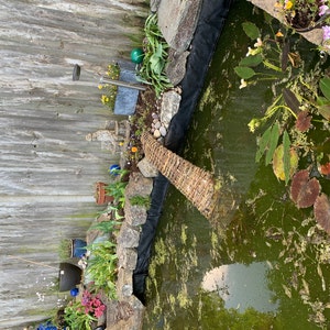 Hedgehog Pond Ramp, Hedgehog Conservation, Pond Decorations, Gardener ...