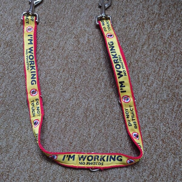 Epileptic Seizures - Diabetic Cat - Diabetic Dog - Insulin Dependent ...