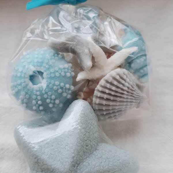 Coastal Seashell Soap Set: Beach-themed Party Favors & Nautical ...